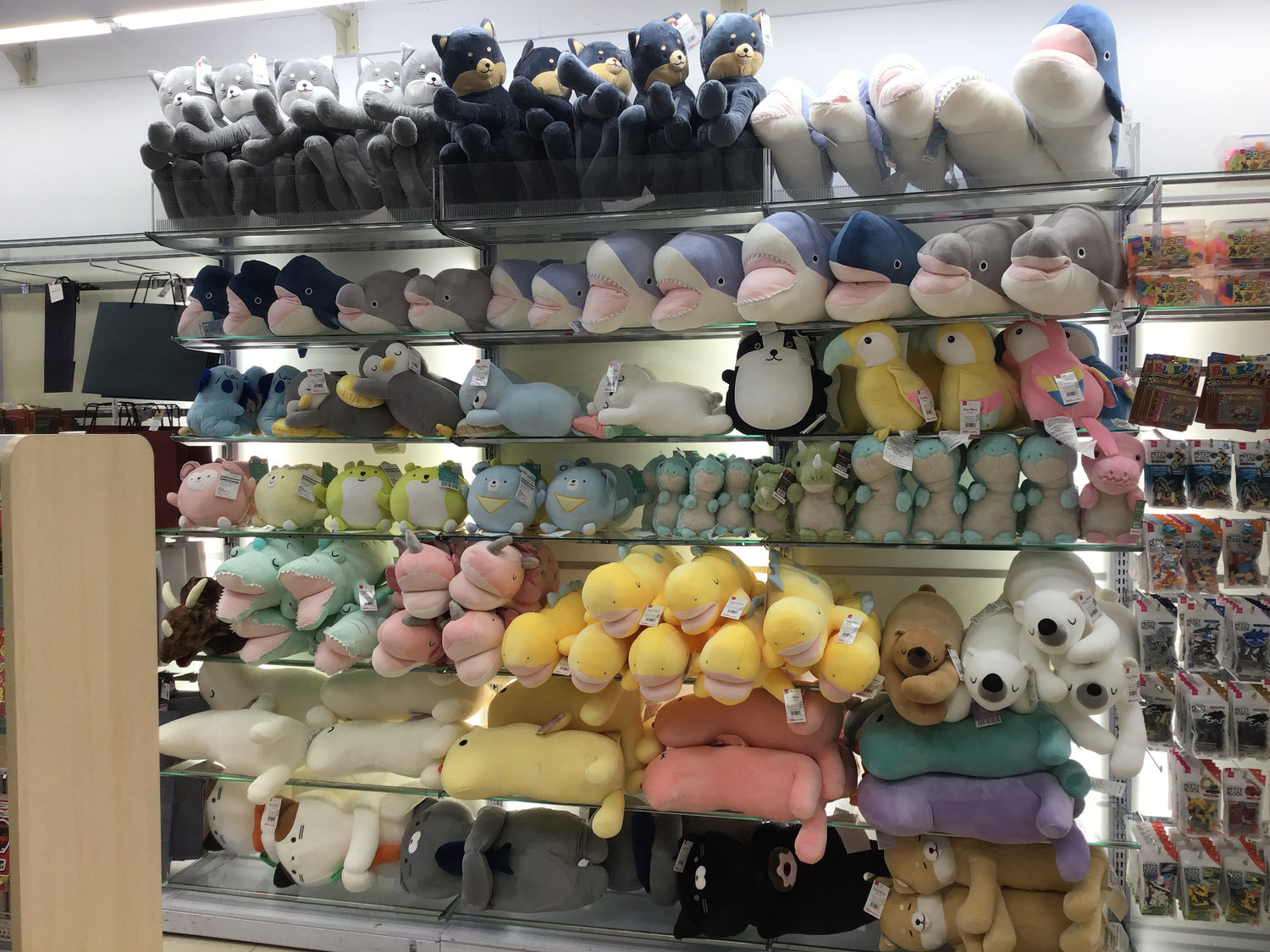 Daiso News – Page 6 – DAISO